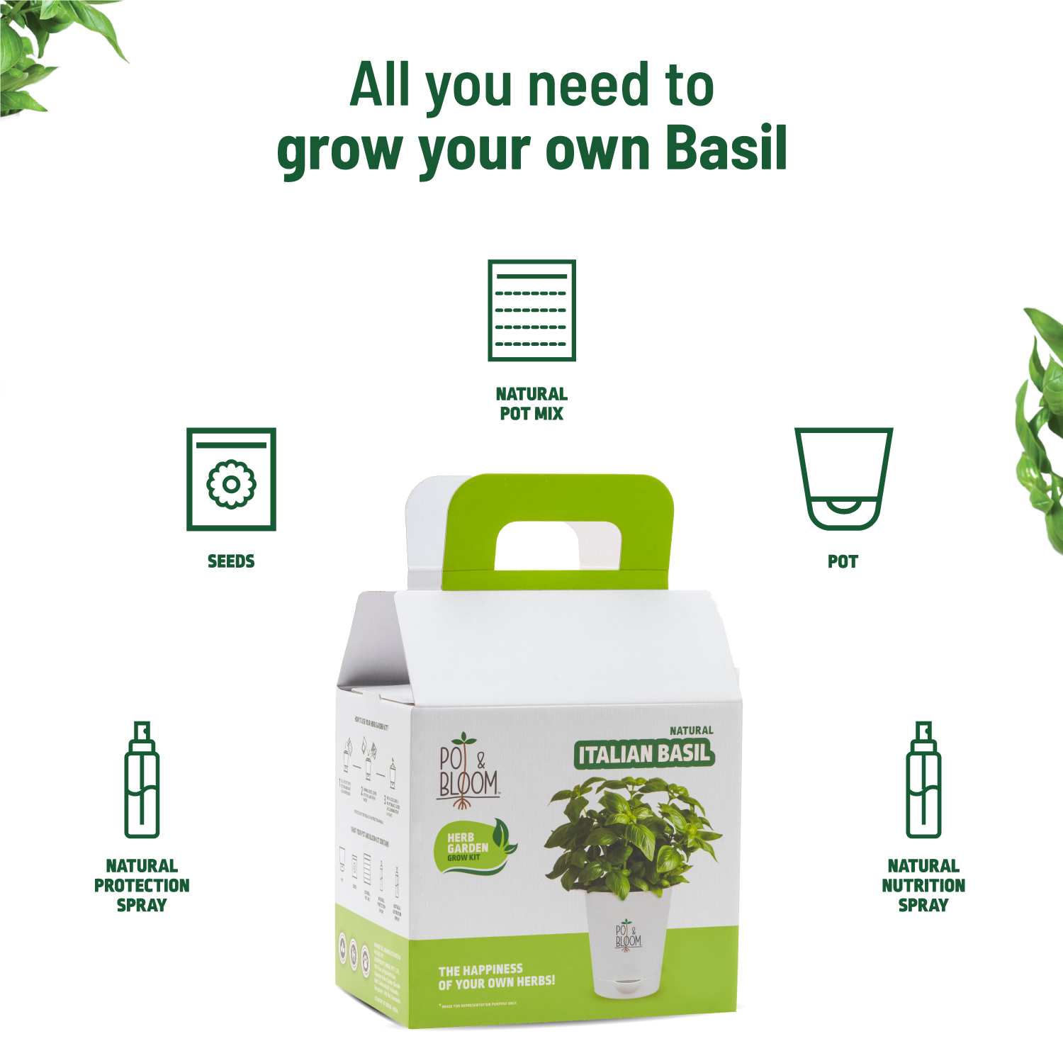 Buy Italian Basil Herb Grow Kit Online - Gift Indeed